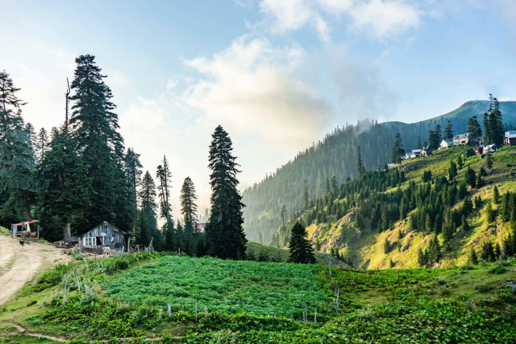 Full Guide to the Best Places to Visit in Murree, Pakistan - Grand Taj Hotel | Official Website ...